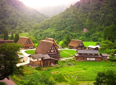 Lợi Ích Của Trồng Xen Canh Và Những Lưu Ý Quan Trọng Cho Nhà Nông