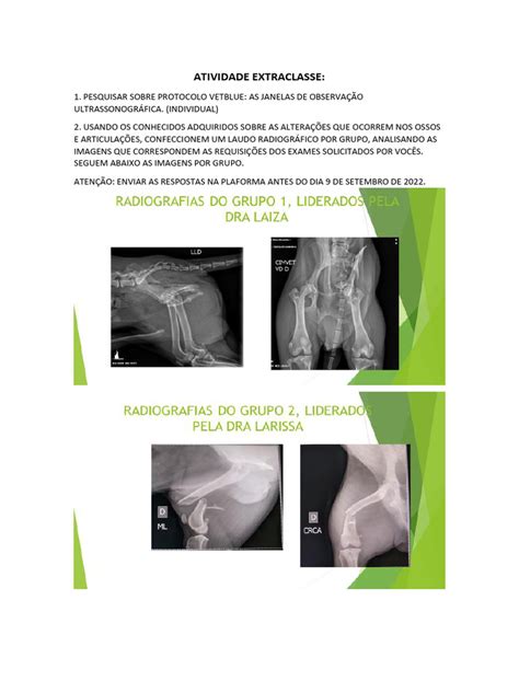 Atividade Extraclasse Pdf
