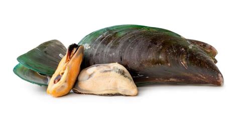 Premium Photo Steamed Or Cooked Food Of Fresh Beautiful Green Mussels