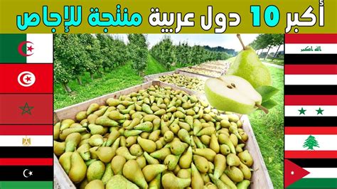 من هي اكثر دولة عربية في زراعة و انتاج الاجاص؟ تصنيف جديد لأكبر 10محاصيل لفاكهة الاجاص عند العرب