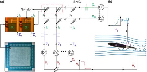 A Morphing Wing Controlled By A Snic During The Self Programming Download Scientific Diagram