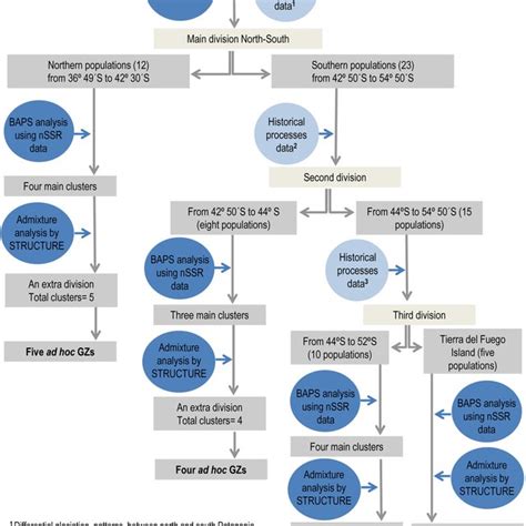Flow Chart Summarizing The Decision Making Process Involved When Download Scientific Diagram