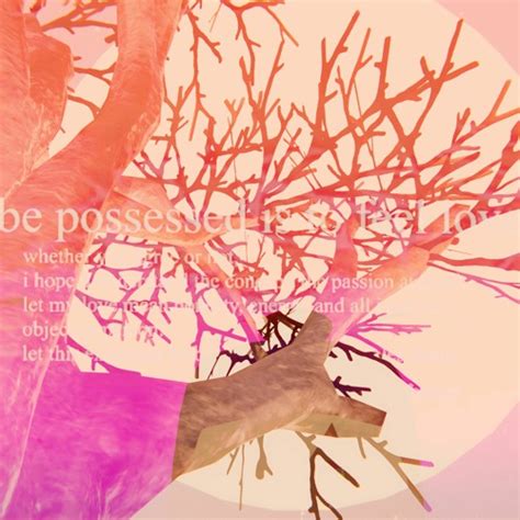 Stream Xxhardbit3s Thinks On Love And Owning A Halberd Radarwhiskers