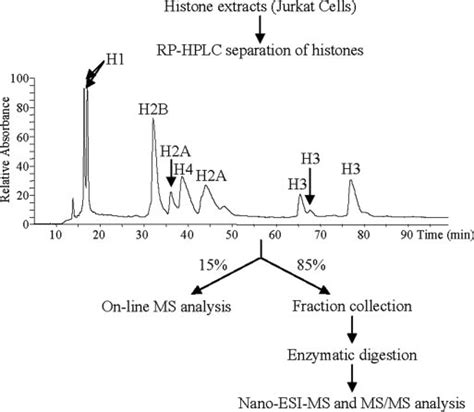 Analysis Of Histones By Mass Spectrometry Schematic Representation Of