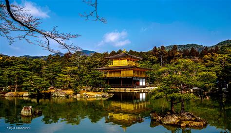 Kinkakuji Temple Kyoto Japan Kinkaku Ji Kyoto Nxuly
