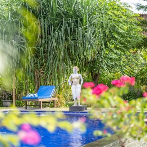 Dive And Stay Package Pemuteran Bali Abyss Ocean World