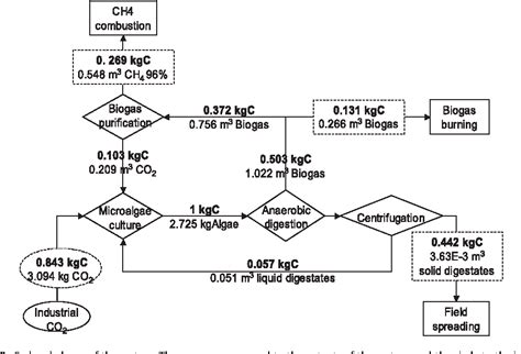 Life Cycle Assessment Of Microalgae Culture Coupled To Biogas