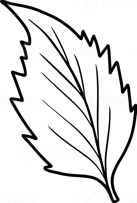 Leaf Line Art Illustration 10863848 Png