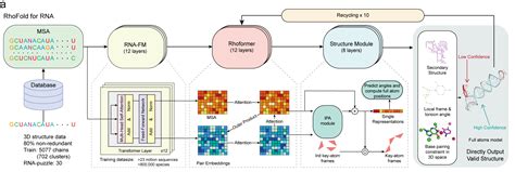 Rna Structure Prediction And Design With Large Language Model Based Deep Learning Methods Cuhk Cse