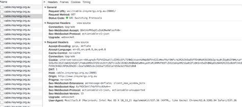 Ruby On Rails Actioncable In Production Repeated 101 Responses