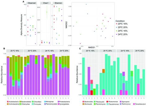 Alpha And Beta Diversity Metrics A And Taxonomical Structure Of The
