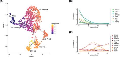 Pseudotime Analysis Revealed Genetic Transformation From Healthy Scs To Download Scientific
