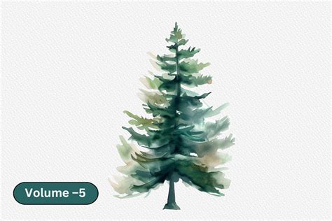 Watercolor Evergreen Trees Set Clipart Graphic By Design Store