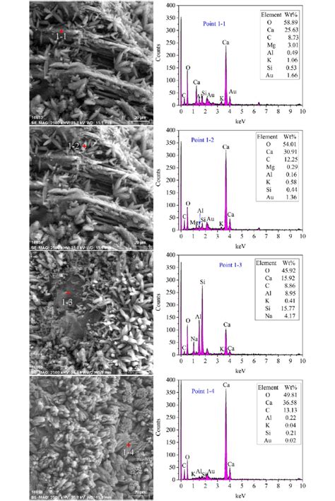 Sem Eds Analysis Results Of The Mineral Components In Area 1 Download Scientific Diagram