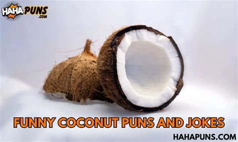 180 Funny Coconut Puns And Jokes Laughing Under The Palms