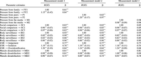 Unstandardized And Standardized Loadings For The Measurement Models N