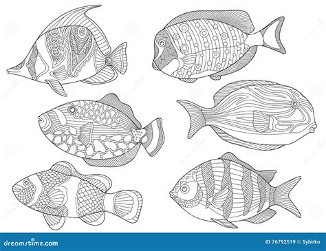 Poissons de Zentangle illustration de vecteur Illustration du ouïes 76792519