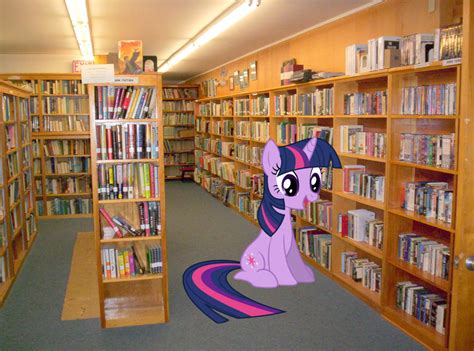 Twilight At Library Mlp In Real Mlp In Real Life By Unknownartist111 On