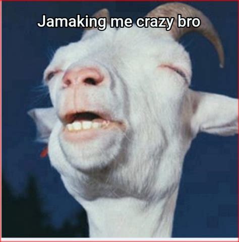 Jamaking Me Crazy Bro Generador Memes