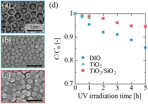 Double Inverse Opal Structured Particle Assembly As A Novel Immobilized