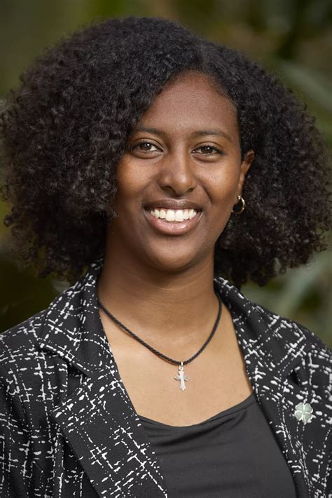 Elysium Ventures Business Consulting Firm In California