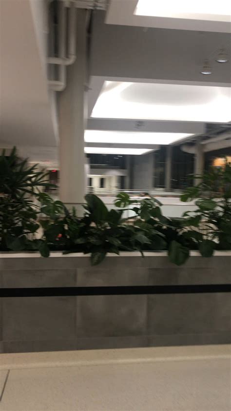 Isr Dining Hall R Uiuc