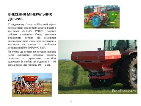 Технологія вирощування соняшника презентация онлайн