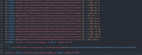 创建php应用老失败 1Panel 社区论坛 FIT2CLOUD 飞致云