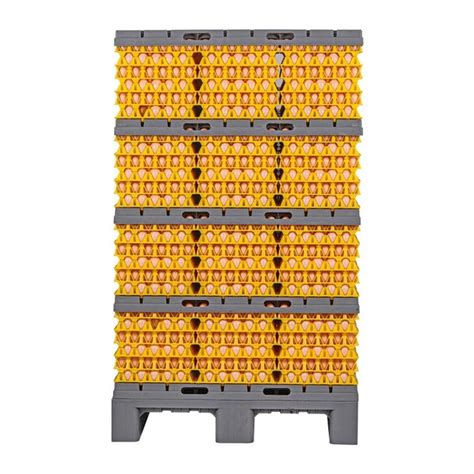 China Egg Pallet System Manufacturers Pembekal Kilang Sistem Pallet Telur Murah Untuk Dijual