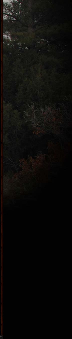 Technical Notes On Muzzleloading Propellants Part One