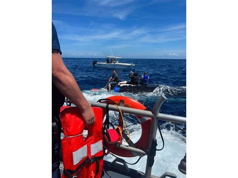 3 Clinging To Capsized Boat In Gulf Rescued Us Coast Guard