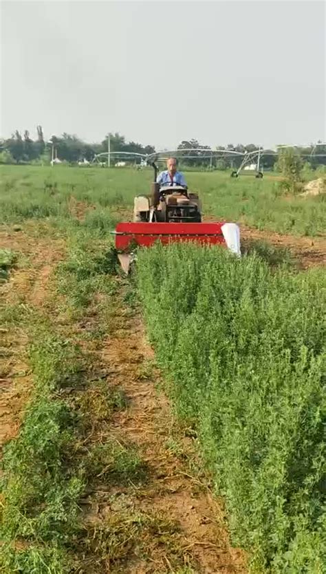自走式割晒机 手推式柴油收割机 多用途农作物割倒机 阿里巴巴 自走式割晒机 手推式柴油收割机 多用途农作物割倒机 阿里巴巴
