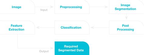 Semantic Image Segmentation Basics Process Applications