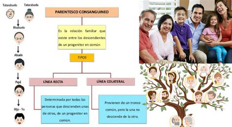 Parentesco qué es tipos por afinidad familiar consanguinidad civil