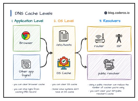 DNS Cache Levels An Overview By Coder Co CoderCo