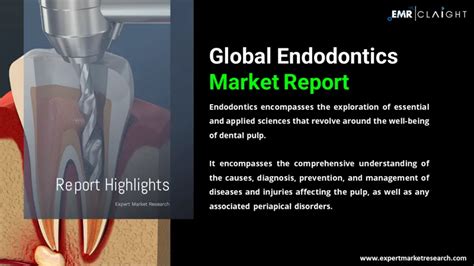 Endodontics Market Size Share Growth Price 2025 2034