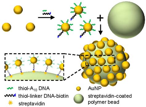 由等离子体核心卫星纳米结构形成的三维 Sers 基底。 Scientific Reports X Mol