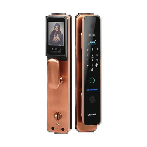 Wholesale Oemodm R1 3d Face Recognition Fully Automatic Stainless Steel Smart Lock Company