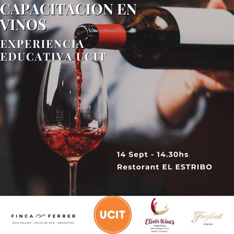 CAPACITACIÓN EN VINOS experiencia educativa UCIT UCIT Villa Gesell