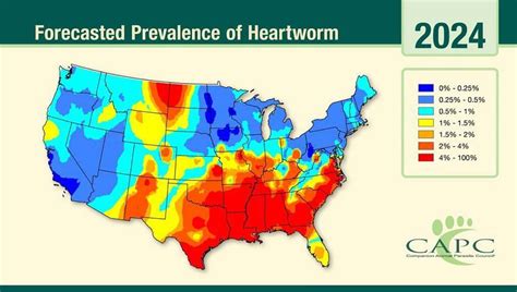 When Persistence Pays Off For Parasite Prevention Vet Advantage