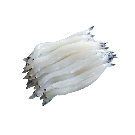 Silverfish Ocean Treasure