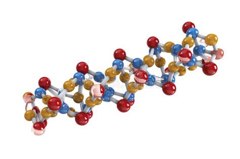 Structure Of A Dna Molecule Stock Illustration Illustration Of
