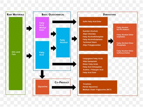 Oleochemical Manufacturing Process Production Png 1024x768px