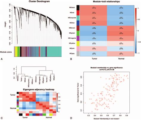 Gene Enrichment And Modules Identified By Wgcna A Clustering