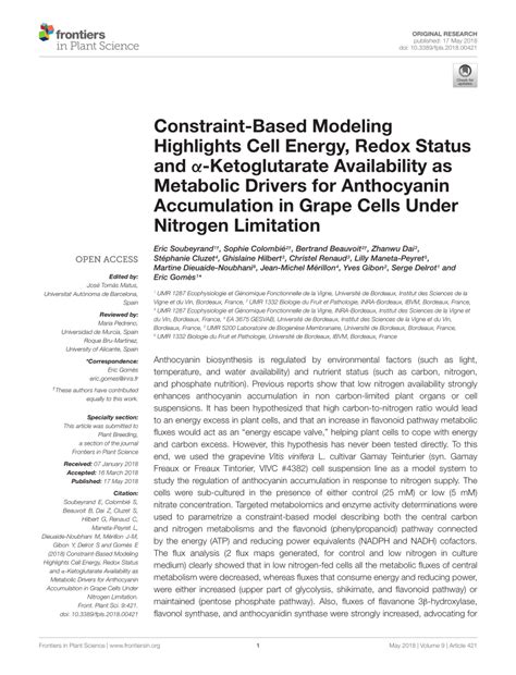 Pdf Constraint Based Modeling Highlights Cell Energy Redox Status
