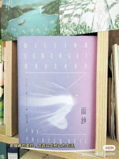 【面纱】读后感 知乎
