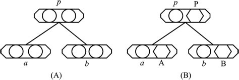 5 A The Structure Of The Recursive Neural Network Model Where Each Download Scientific
