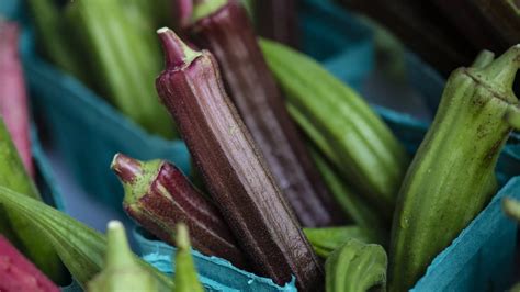 Okra Abelmoschus Esculentus Nproc