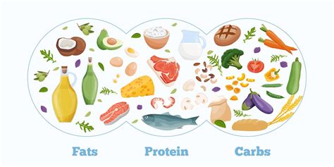 Premium Vector Set Of Healthy Macronutrients Proteins Fats And Carbs