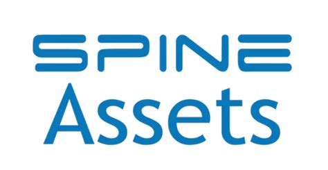 Spine Asset Management Software At Best Price In Greater Noida By Mindaquest Business Solution